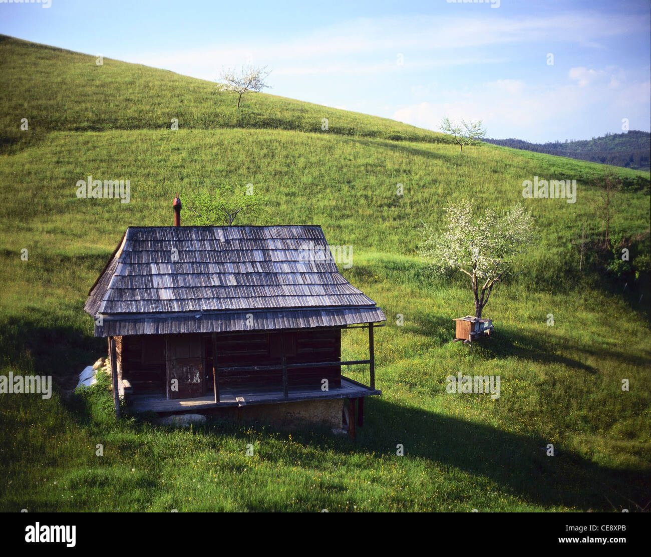 Wooden cottage in the meadow, Slovakia (CTK Photo/Jan Halady Stock ...