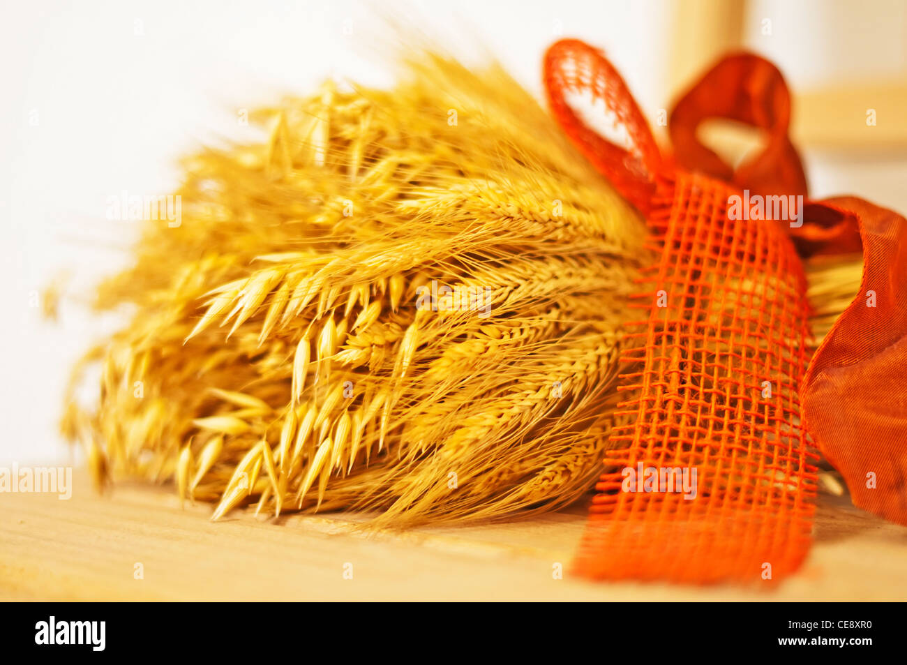 Corn bouquet hi-res stock photography and images - Alamy