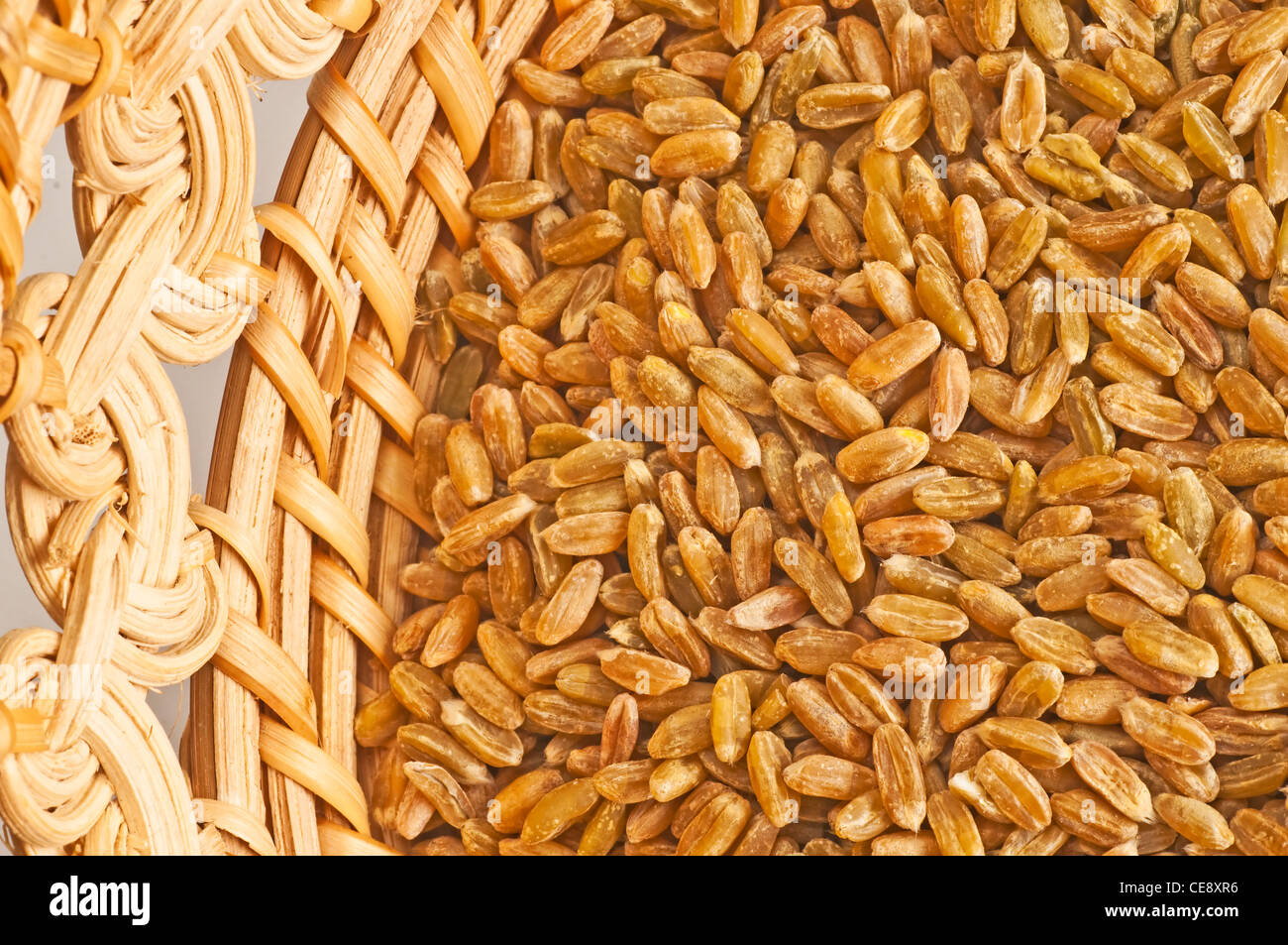Spelt whole grain hi-res stock photography and images - Alamy