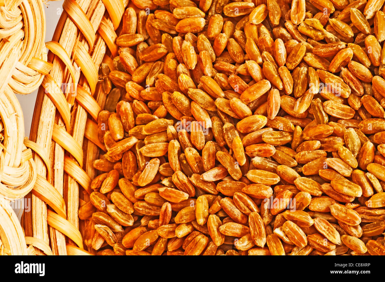 Spelt grain hi-res stock photography and images - Alamy