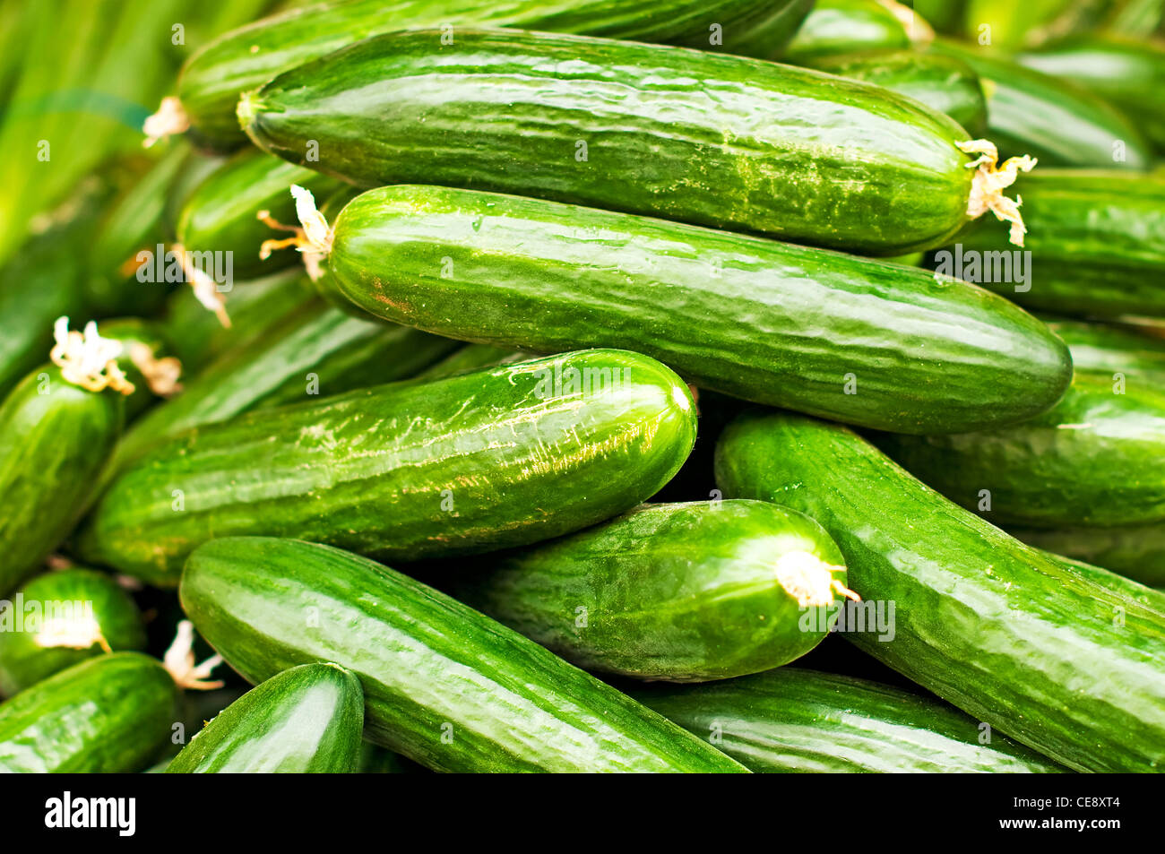 Curved cucumber hi-res stock photography and images - Alamy