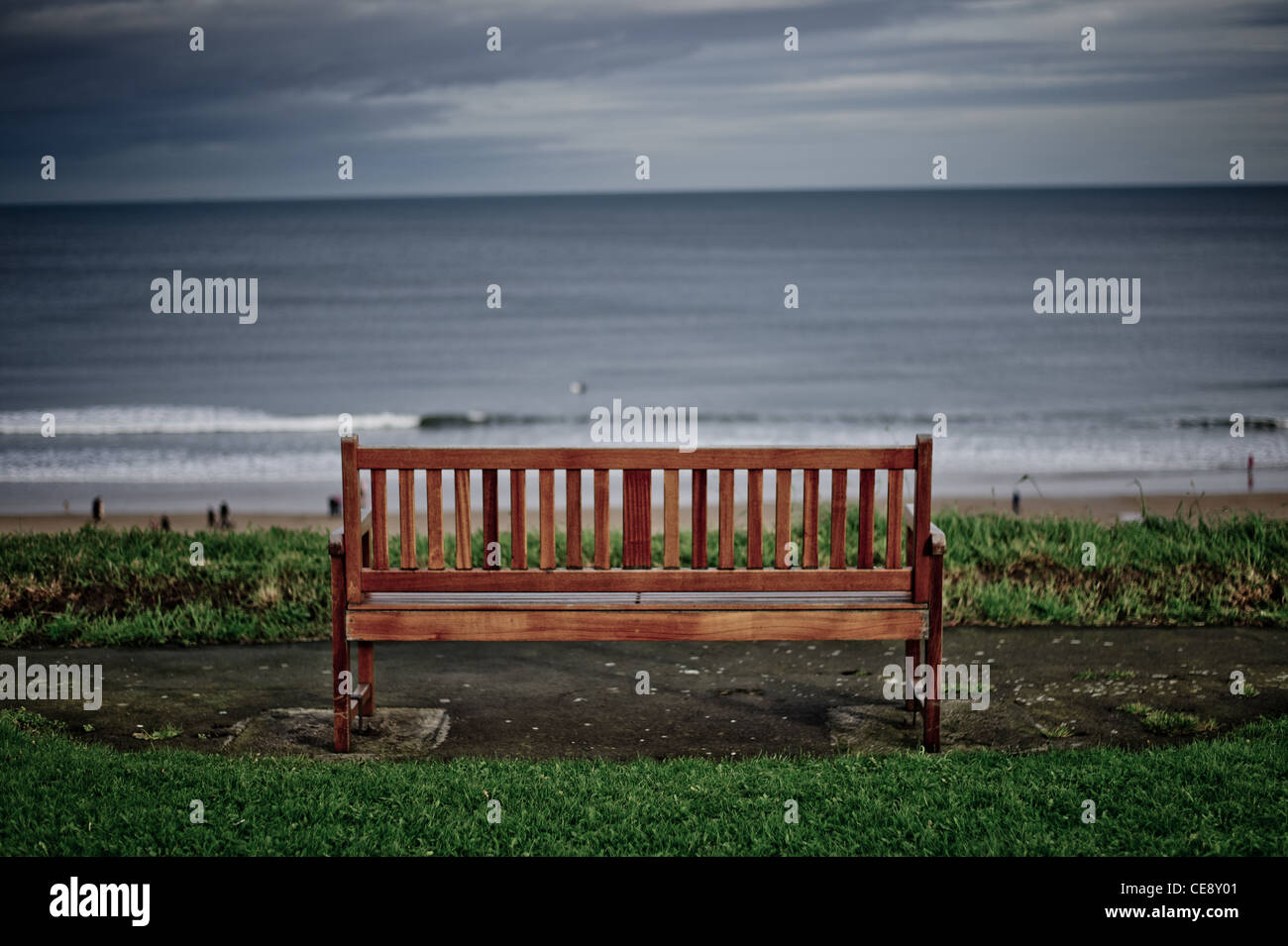 A park bench by the seaside Stock Photo - Alamy