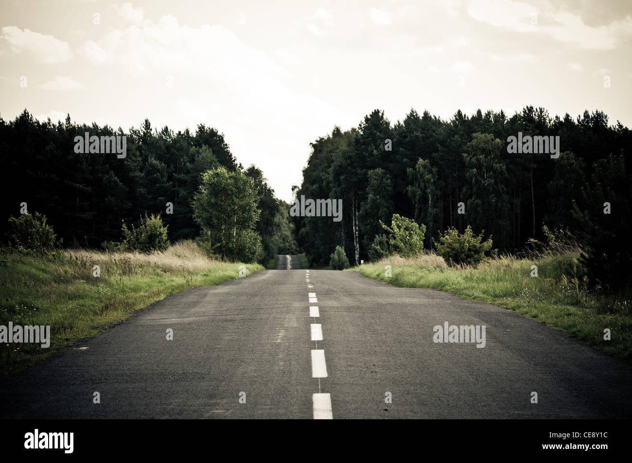 empty asphalt road across the forest to horizon Stock Photo - Alamy
