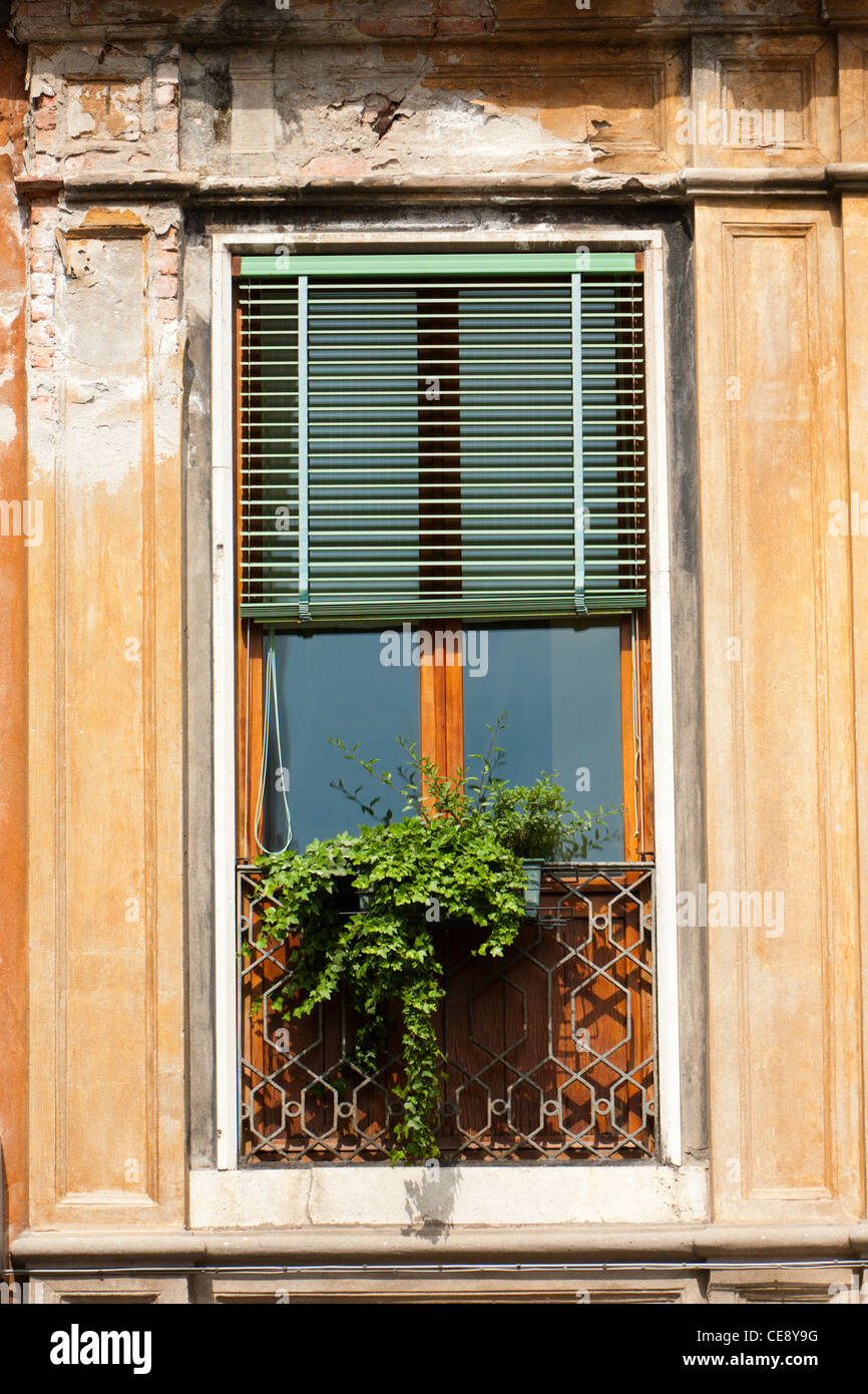 Window Architecture in the romantic city of Venice, Italy Stock Photo ...