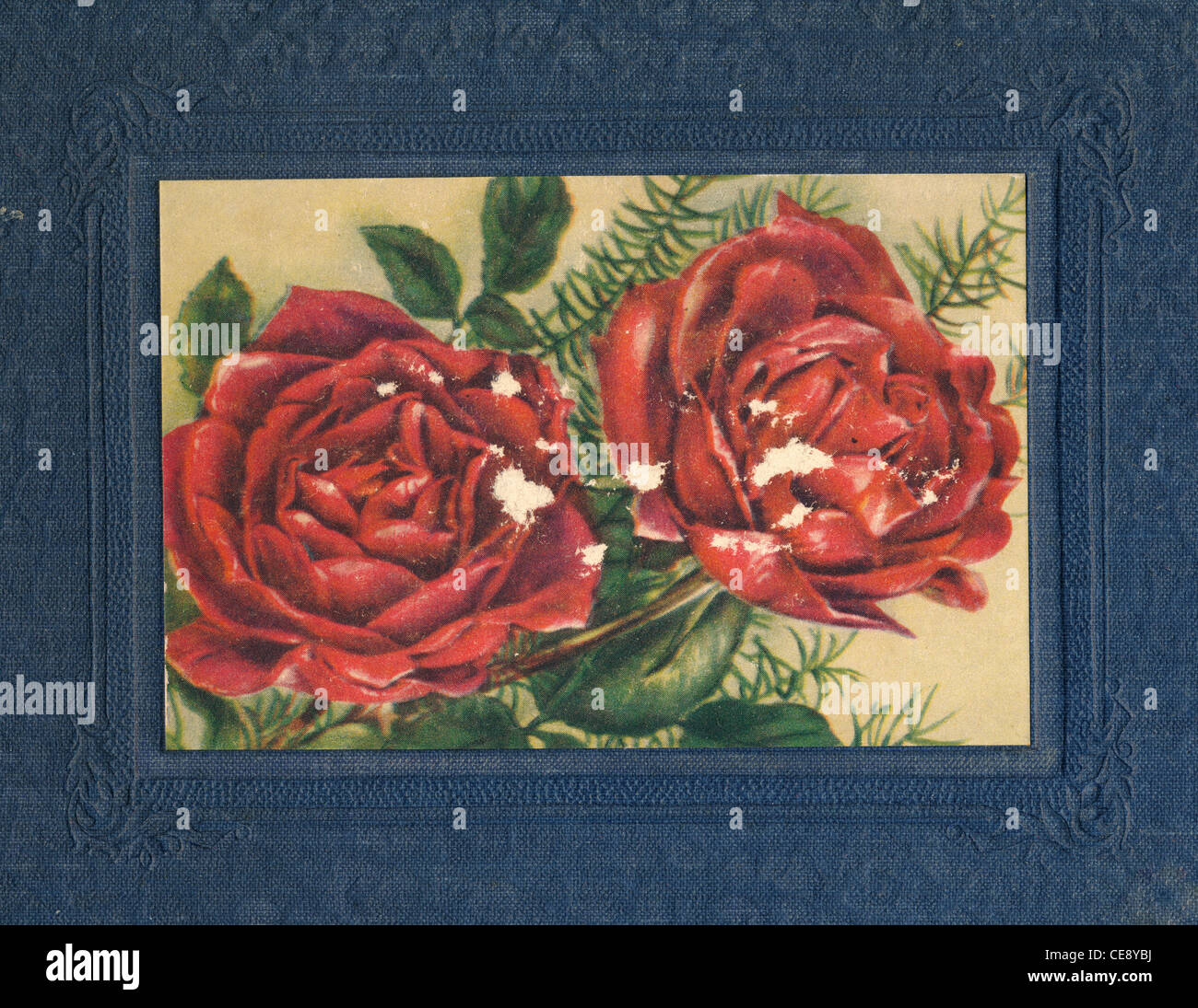 Album old cover with roses hi-res stock photography and images - Alamy