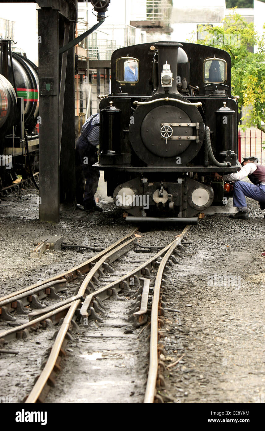 Steam tank Engines on the welsh Ffestiniog railway rural train service ...