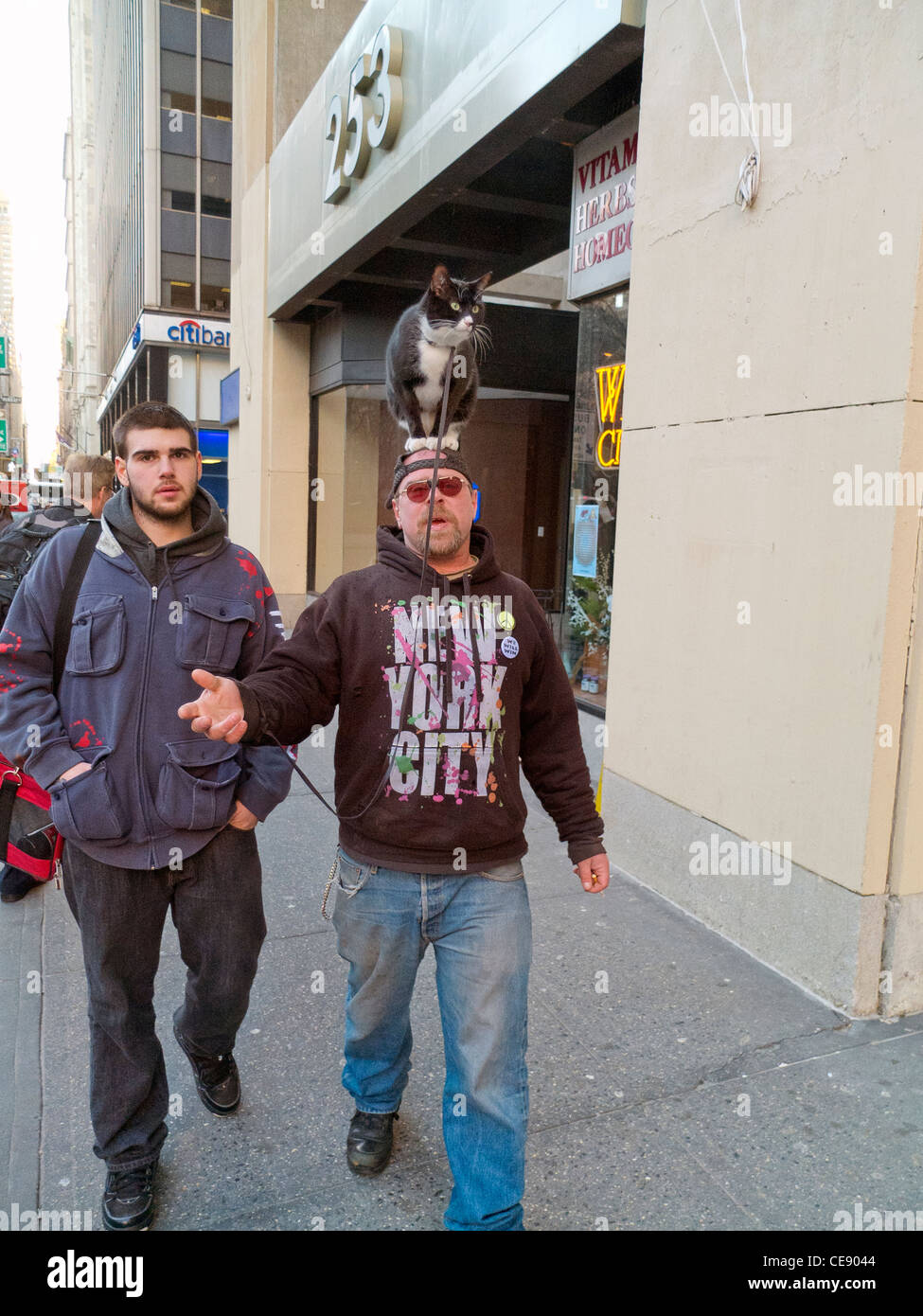 Man with cat on his head hi-res stock photography and images - Alamy