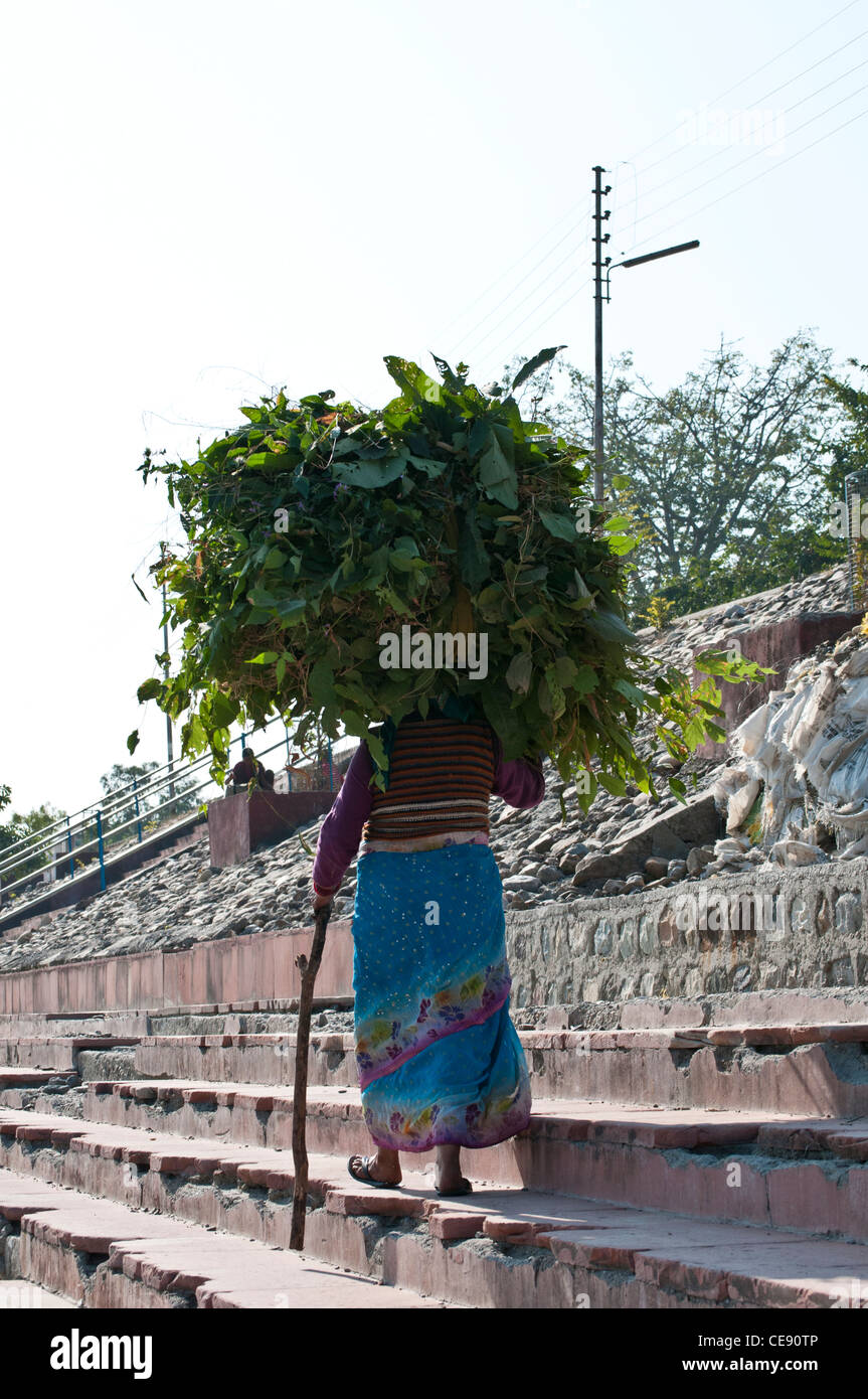 Woman carrying bundle on head hi-res stock photography and images - Alamy