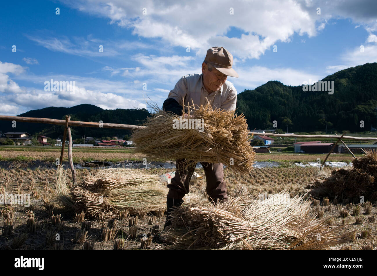 Japan Rice Farm High Resolution Stock Photography and Images - Alamy