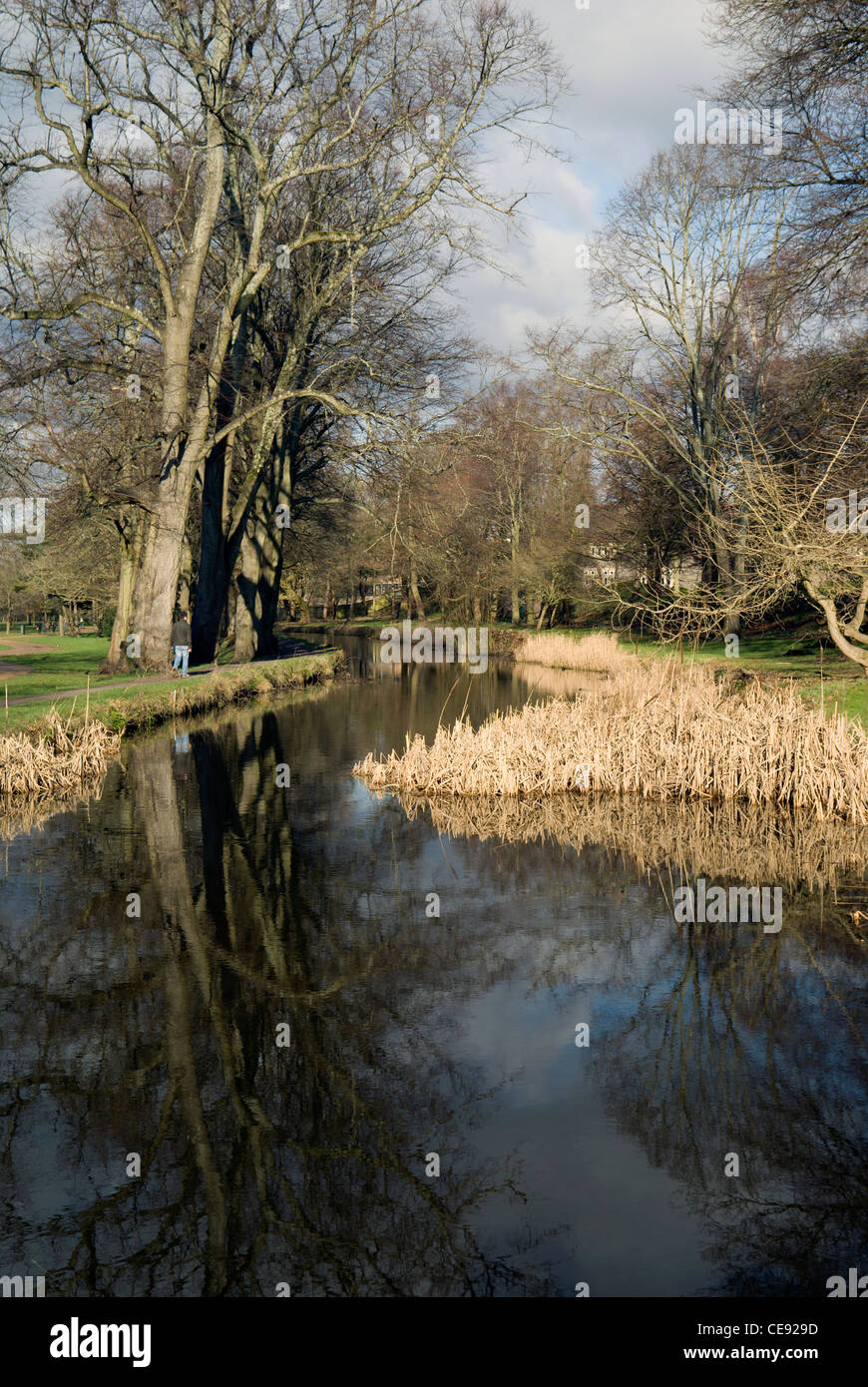 Reed canal park hi-res stock photography and images - Alamy
