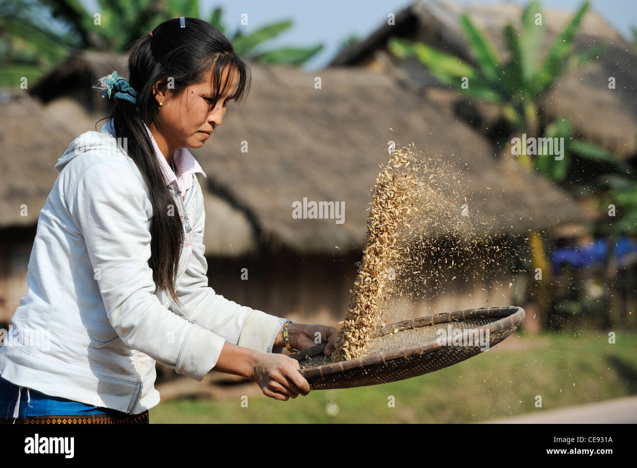 Chaff hi-res stock photography and images - Alamy