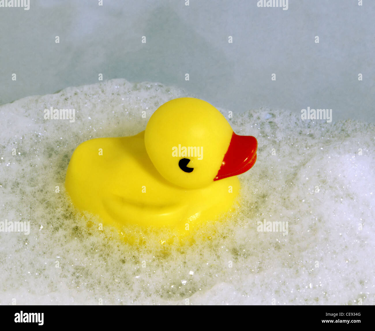 yellow toy duck in soap foam Stock Photo - Alamy