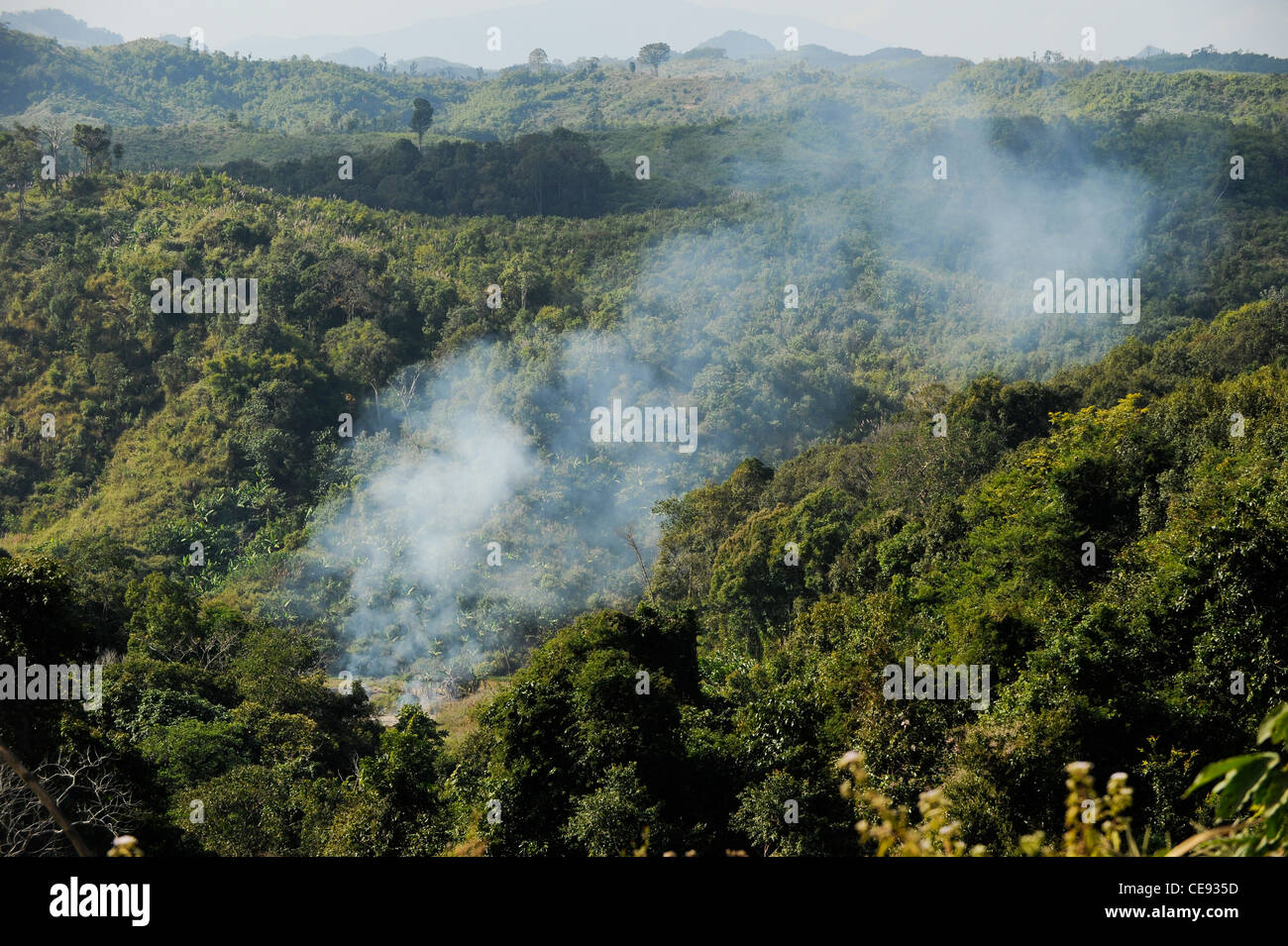 Asia LAOS, province Oudomxay , village Houyta, rainforest in mountain ...