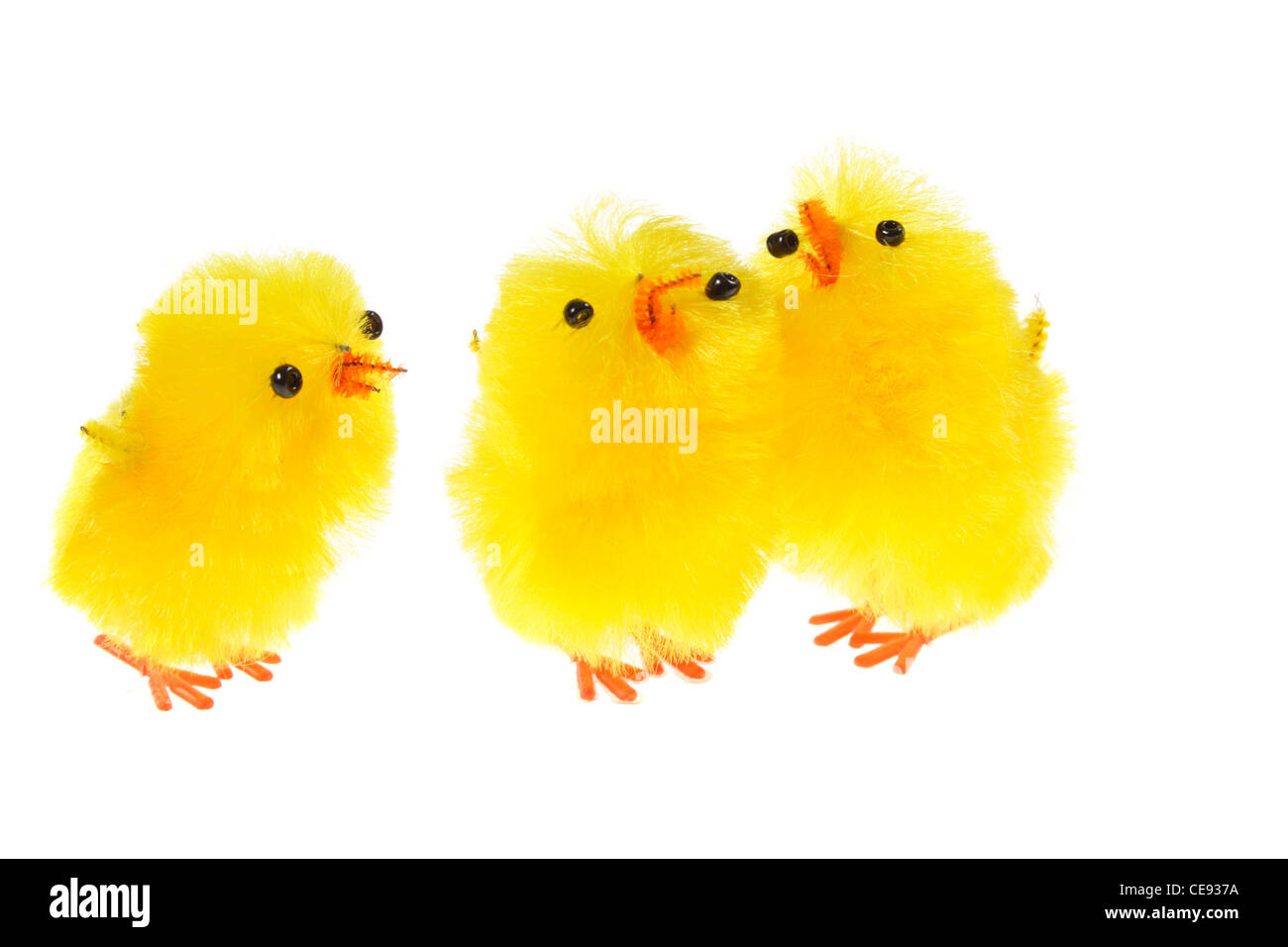 yellow chicklings, photo on the white background Stock Photo - Alamy