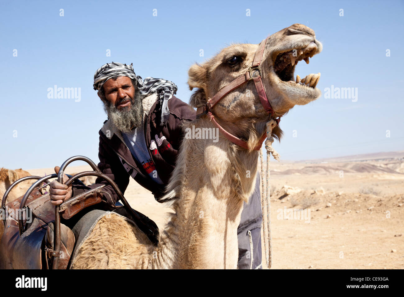 Bedouin negev desert hi-res stock photography and images - Alamy