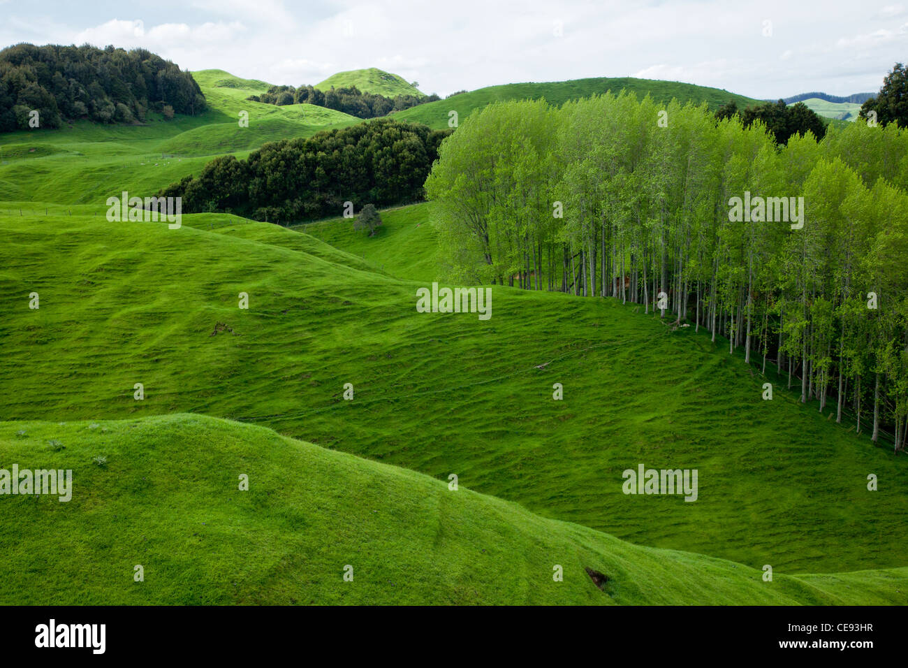 Rolling Hills Rolling Hill Venue Weddings, Receptions, And Parties