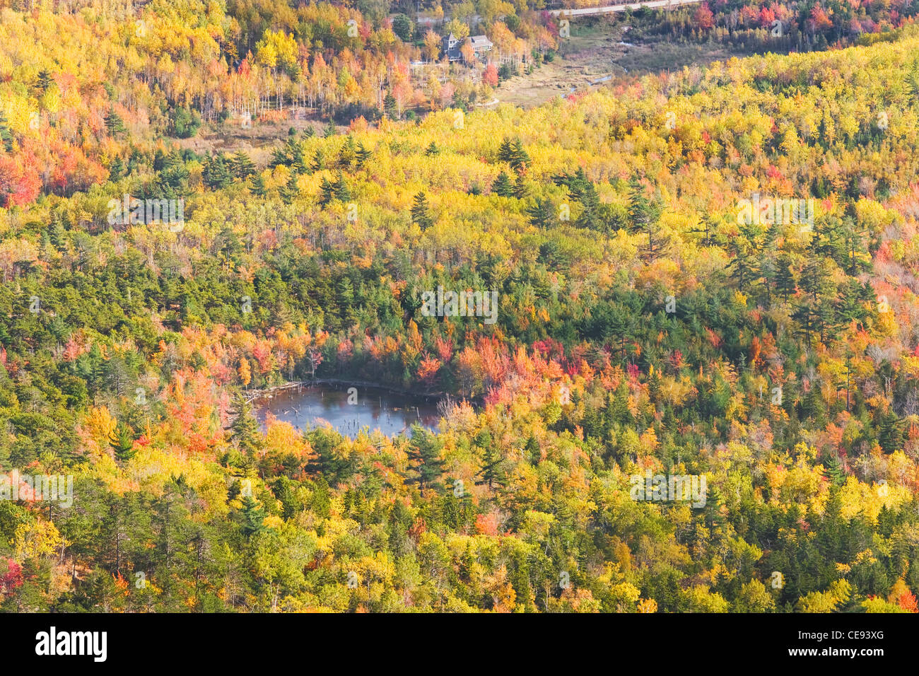 Small pond and colorful trees in Autumn Acadia National Park Maine ...