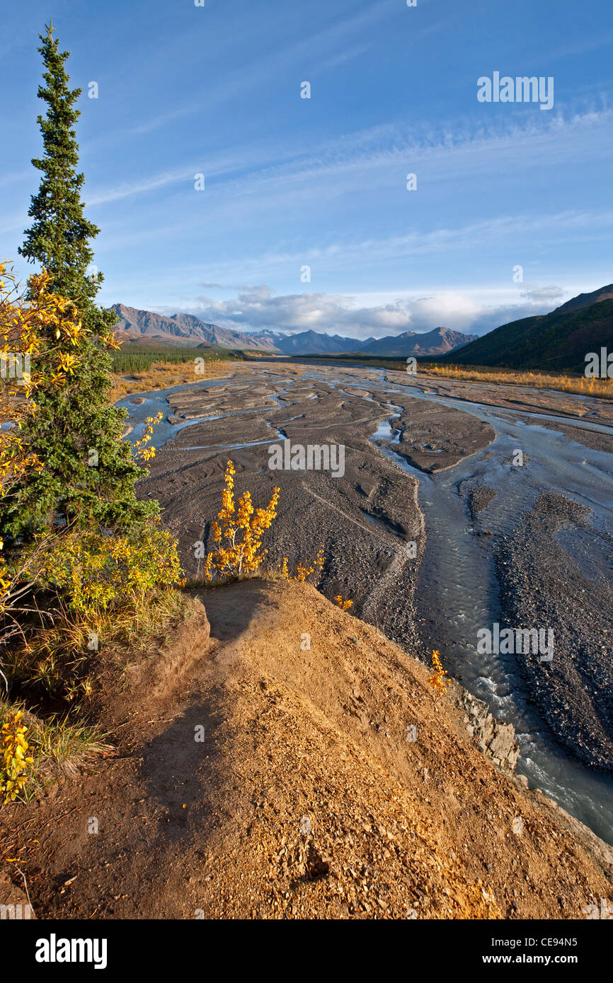 Teklanika river. Denali National Park. Alaska. USA Stock Photo - Alamy