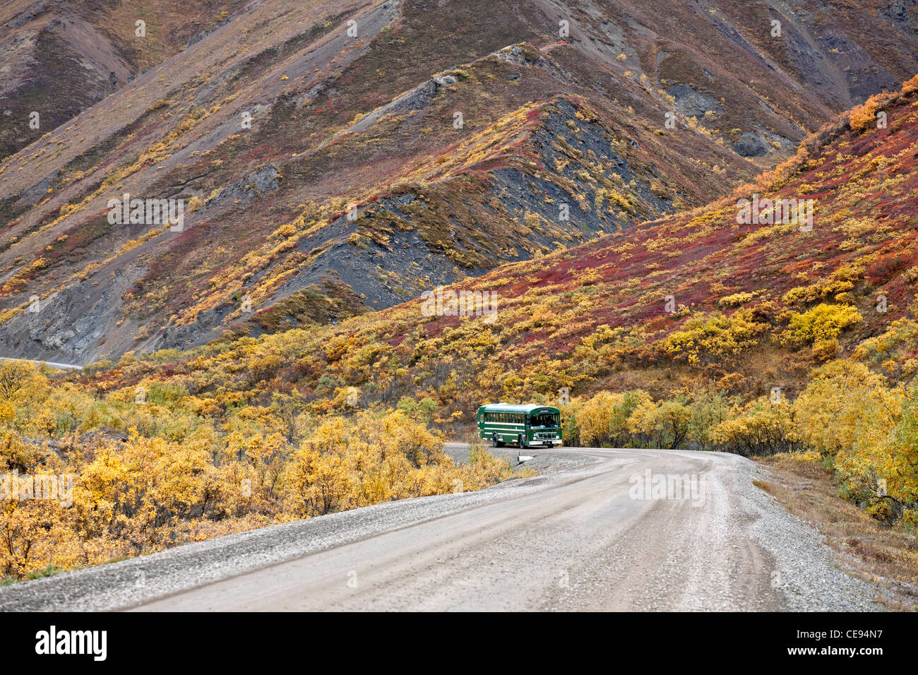 Shuttle bus. Denali National Park. Alaska. USA Stock Photo - Alamy