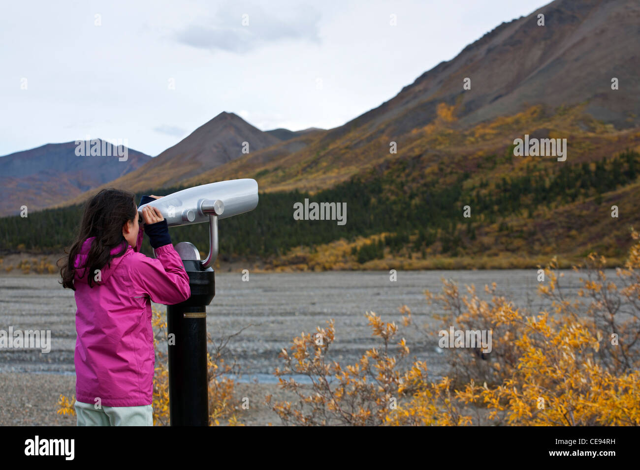 Girl peering through a spotting scope. Toklat Ranger Station. Denali ...