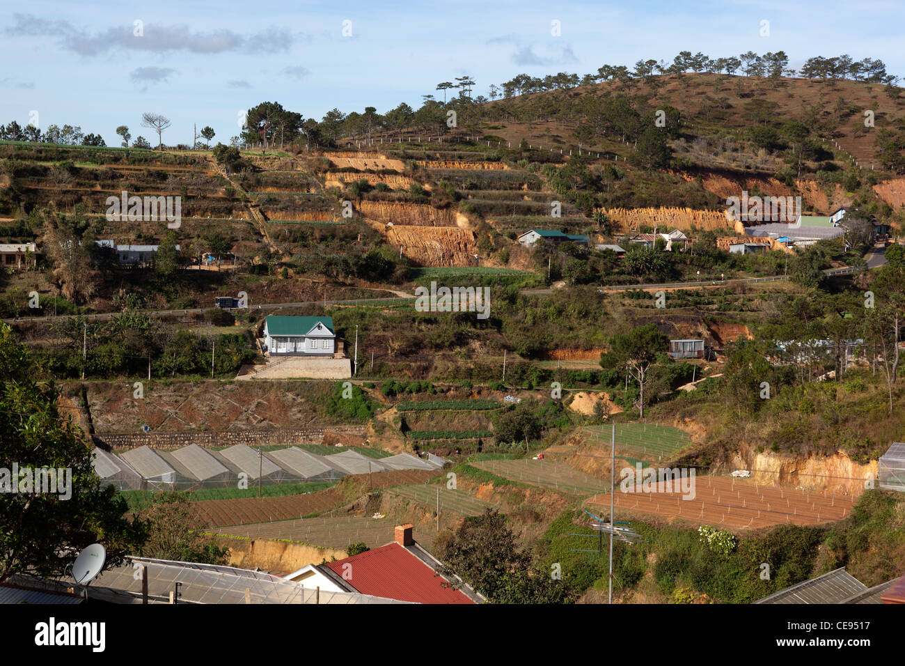 Dalat farm hi-res stock photography and images - Alamy