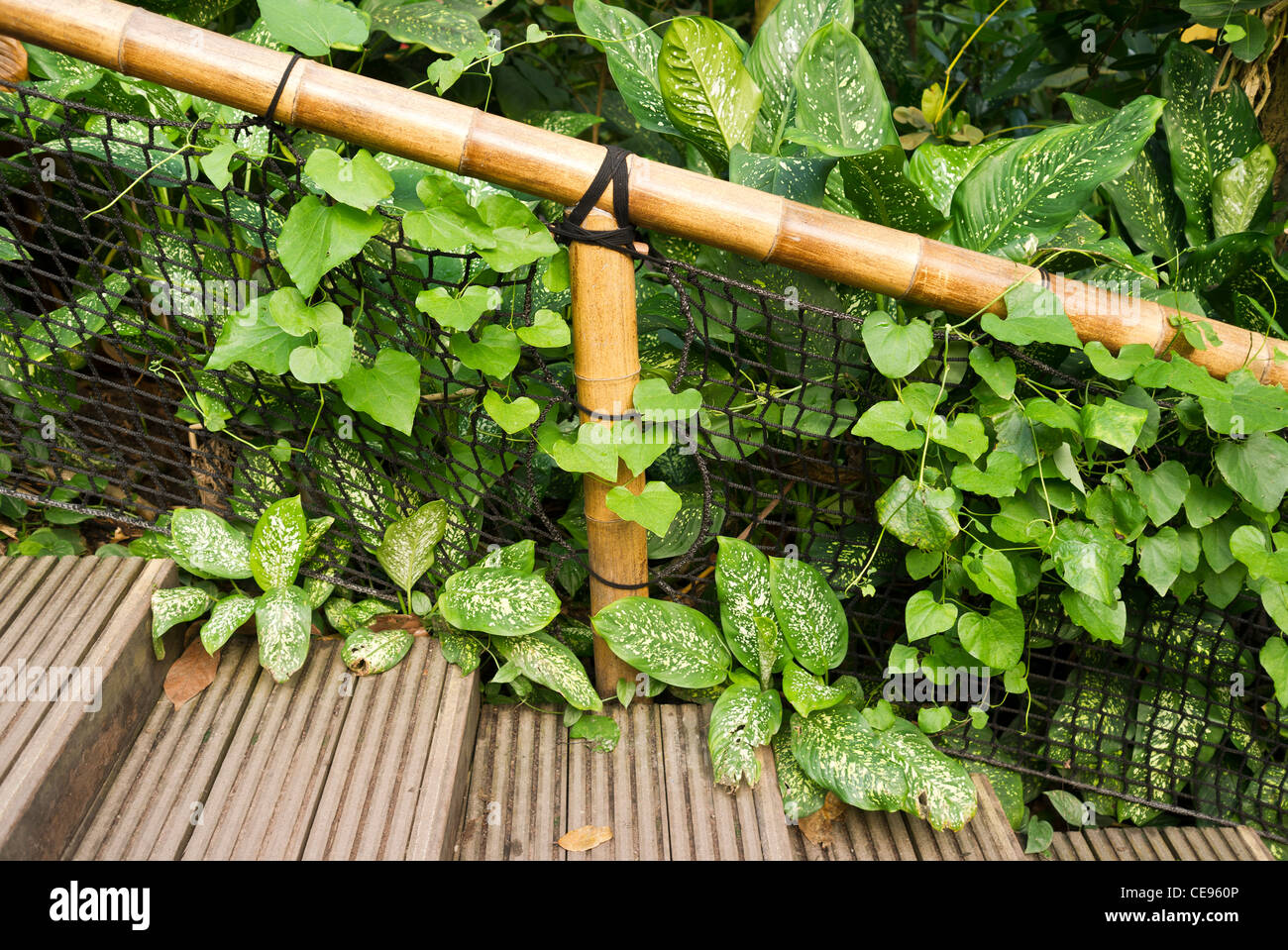 Safety railing rail hi-res stock photography and images - Alamy