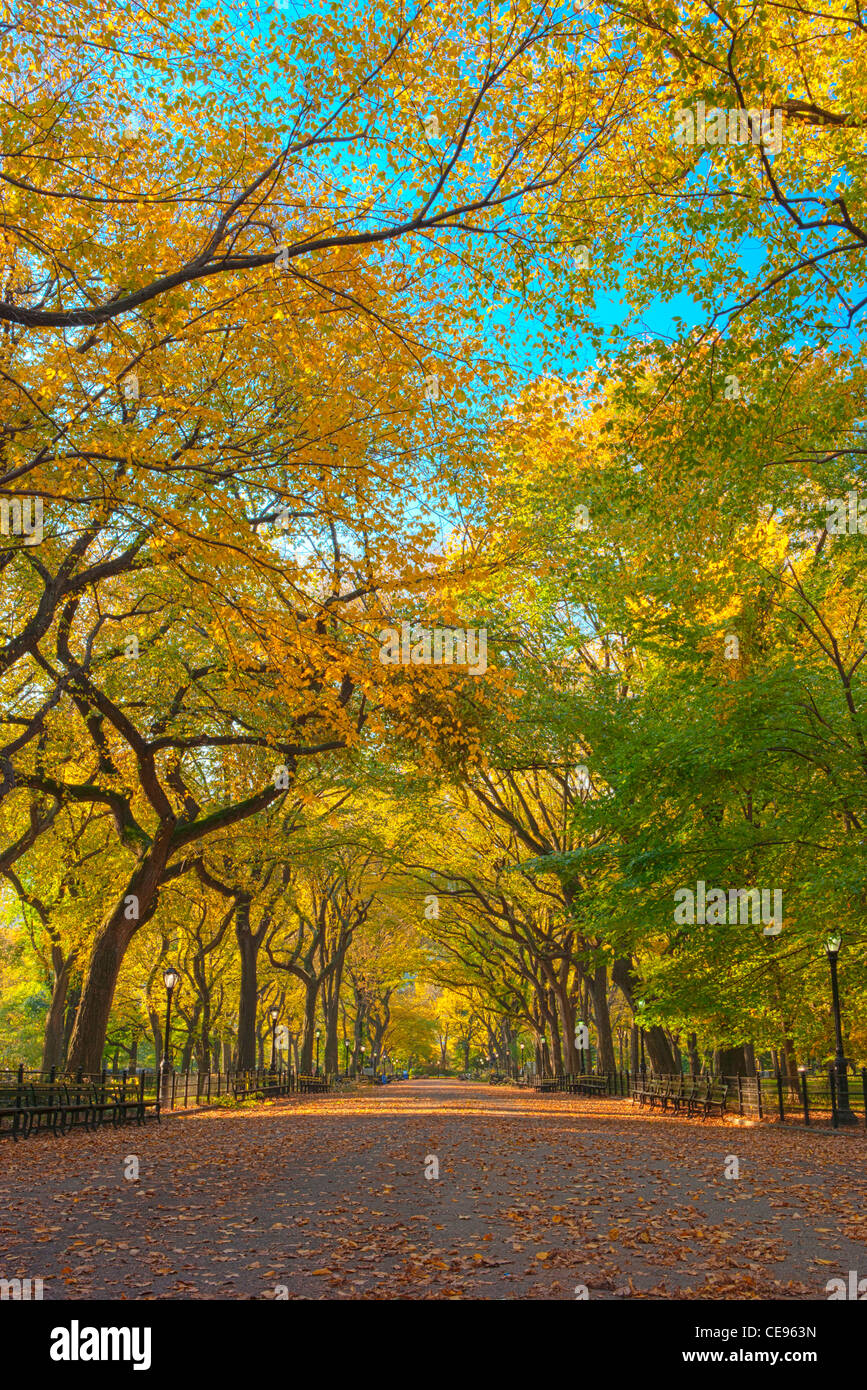Central park mall literary walk hi-res stock photography and images - Alamy