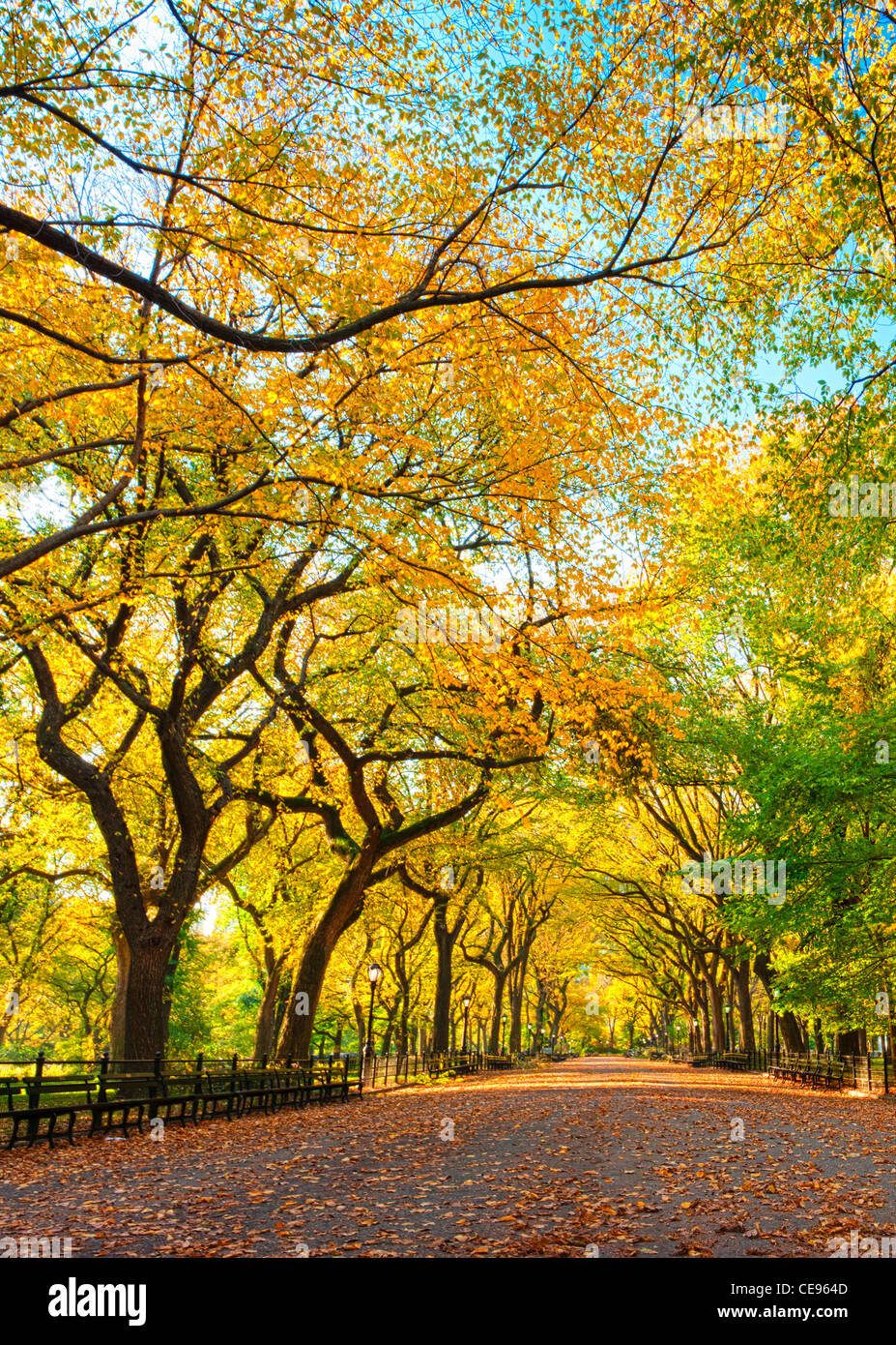 Literary Walk in Autumn colors, Central Park Stock Photo - Alamy