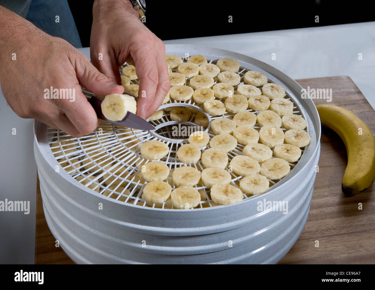placing banana slices into a dehumidifier to make dried fruit Stock ...