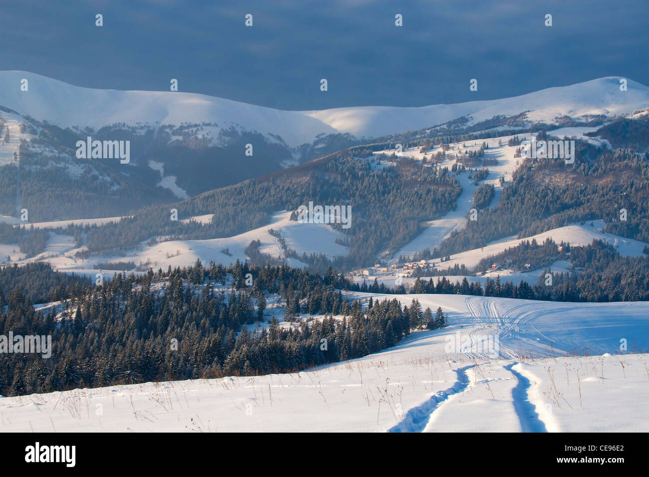 Snow covered winter forest Stock Photo - Alamy