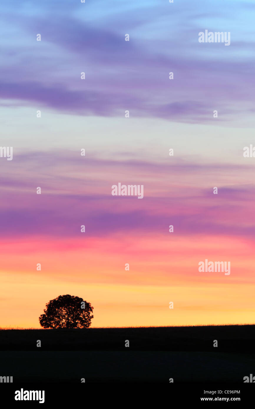 French pond at sunset hi-res stock photography and images - Alamy