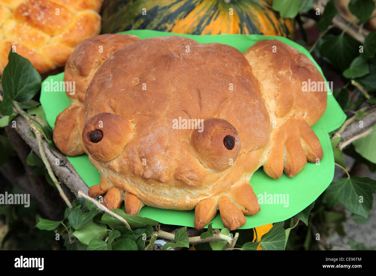 Frog loaf hi-res stock photography and images - Alamy