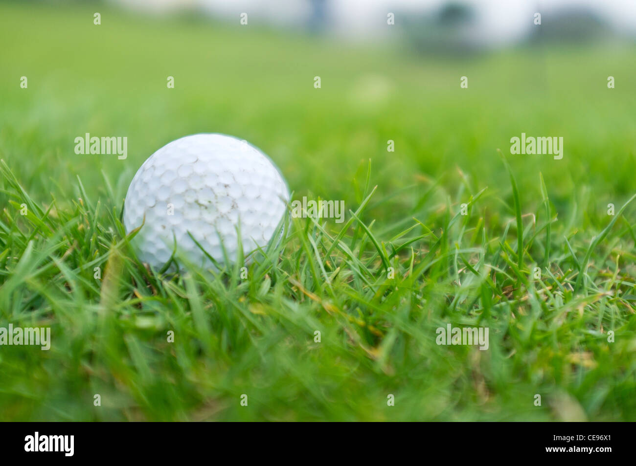A Golf Ball on The Fairway Stock Photo - Alamy