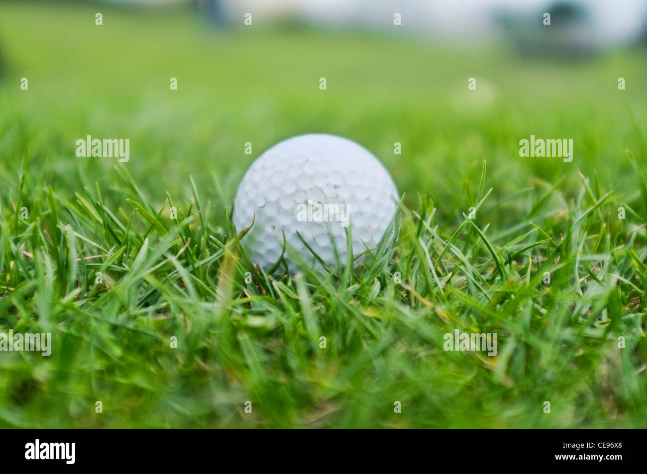 Golf Ball on The Fairway Stock Photo - Alamy