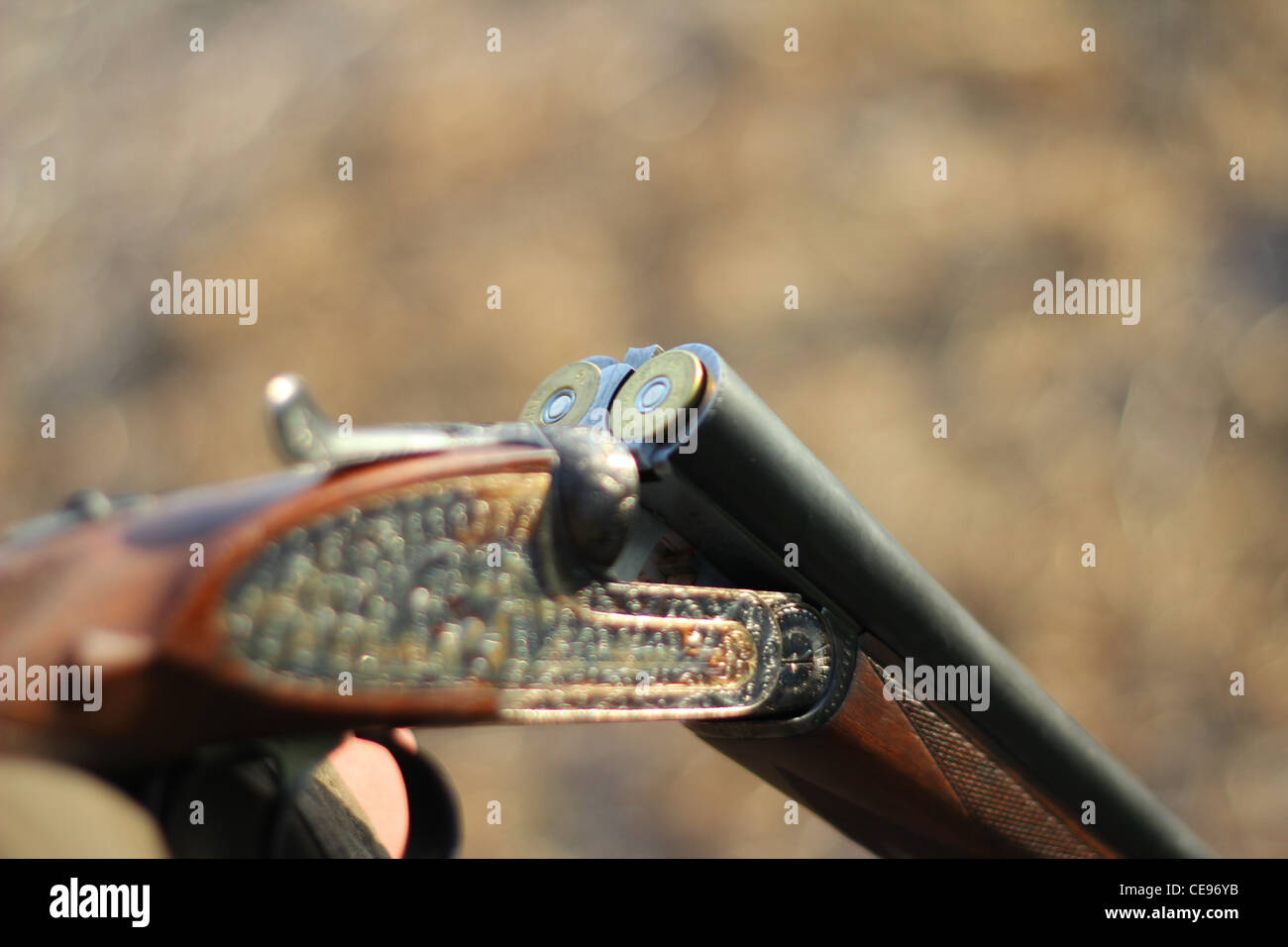shotgun loaded at countryside Stock Photo - Alamy
