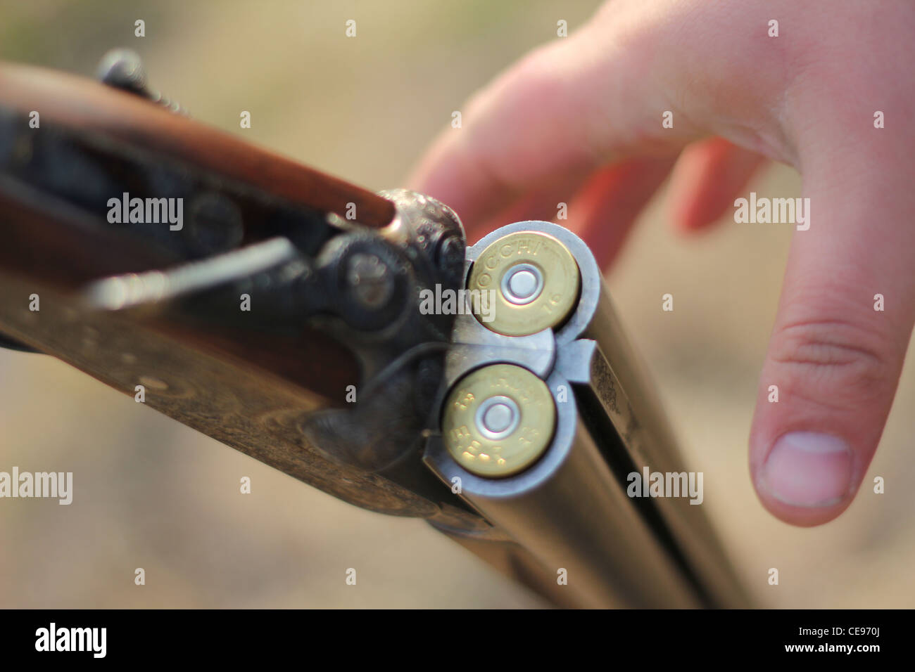 shotgun loaded at countryside Stock Photo - Alamy