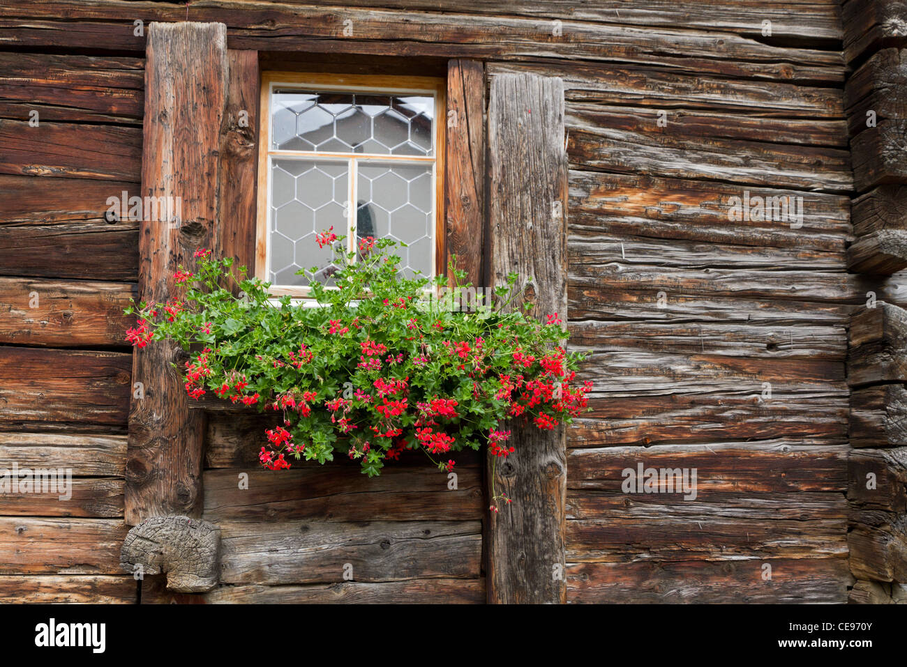 window of a old wooden withered house decorated by red geranium ...
