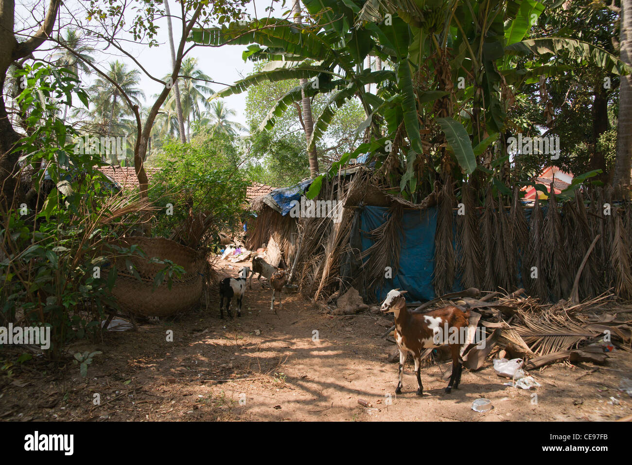 Goa traditional house hi-res stock photography and images - Alamy