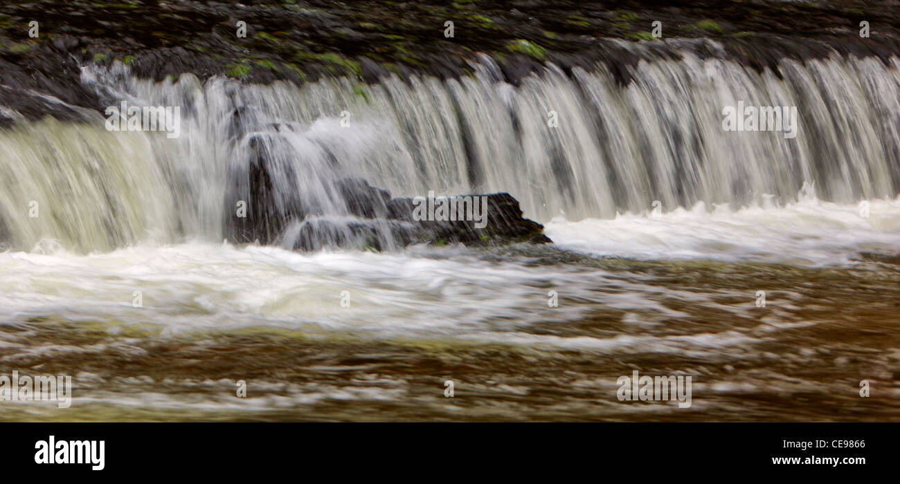 Plymbridge hi-res stock photography and images - Alamy