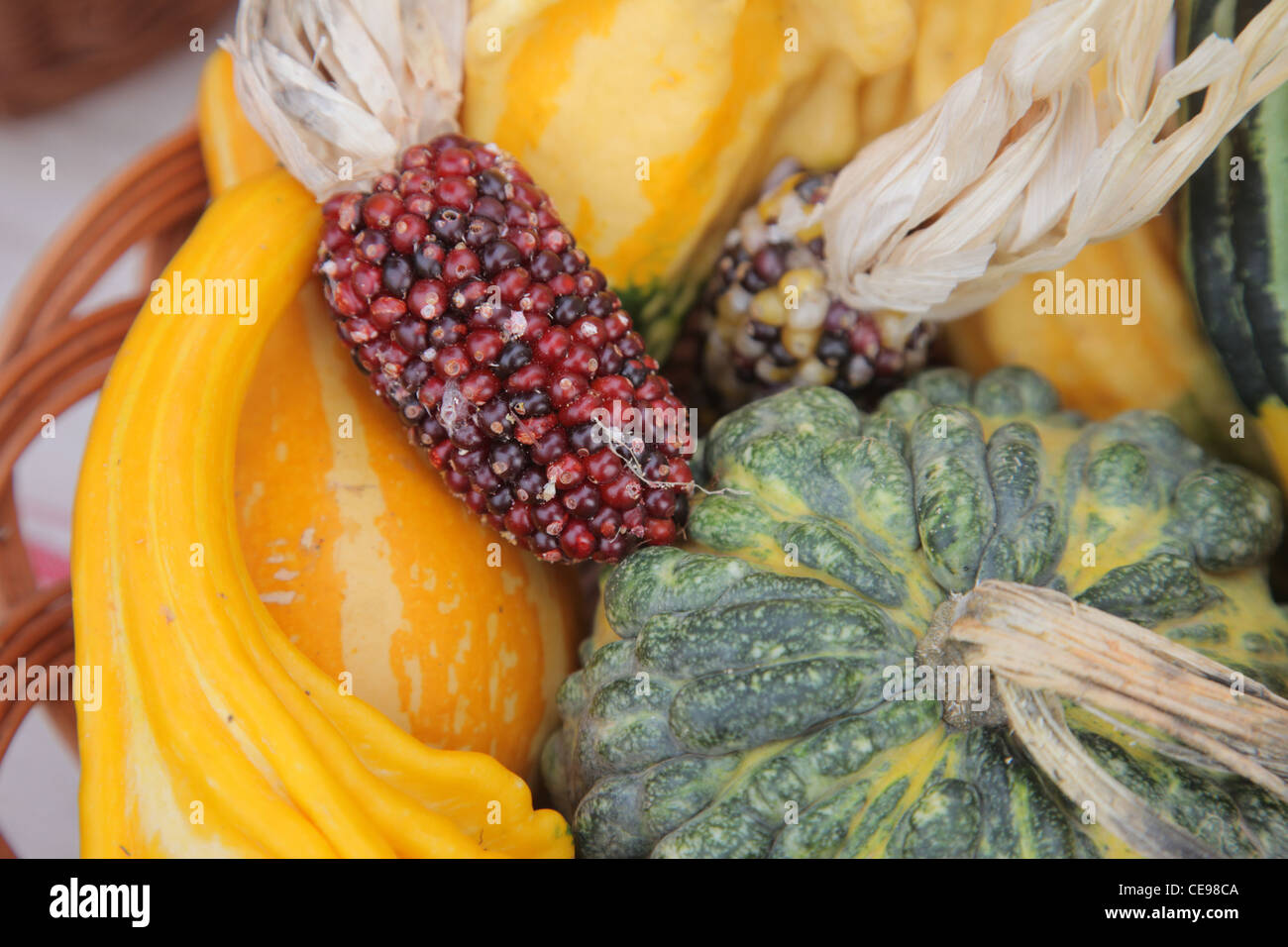 Kernel orange planting hi-res stock photography and images - Alamy