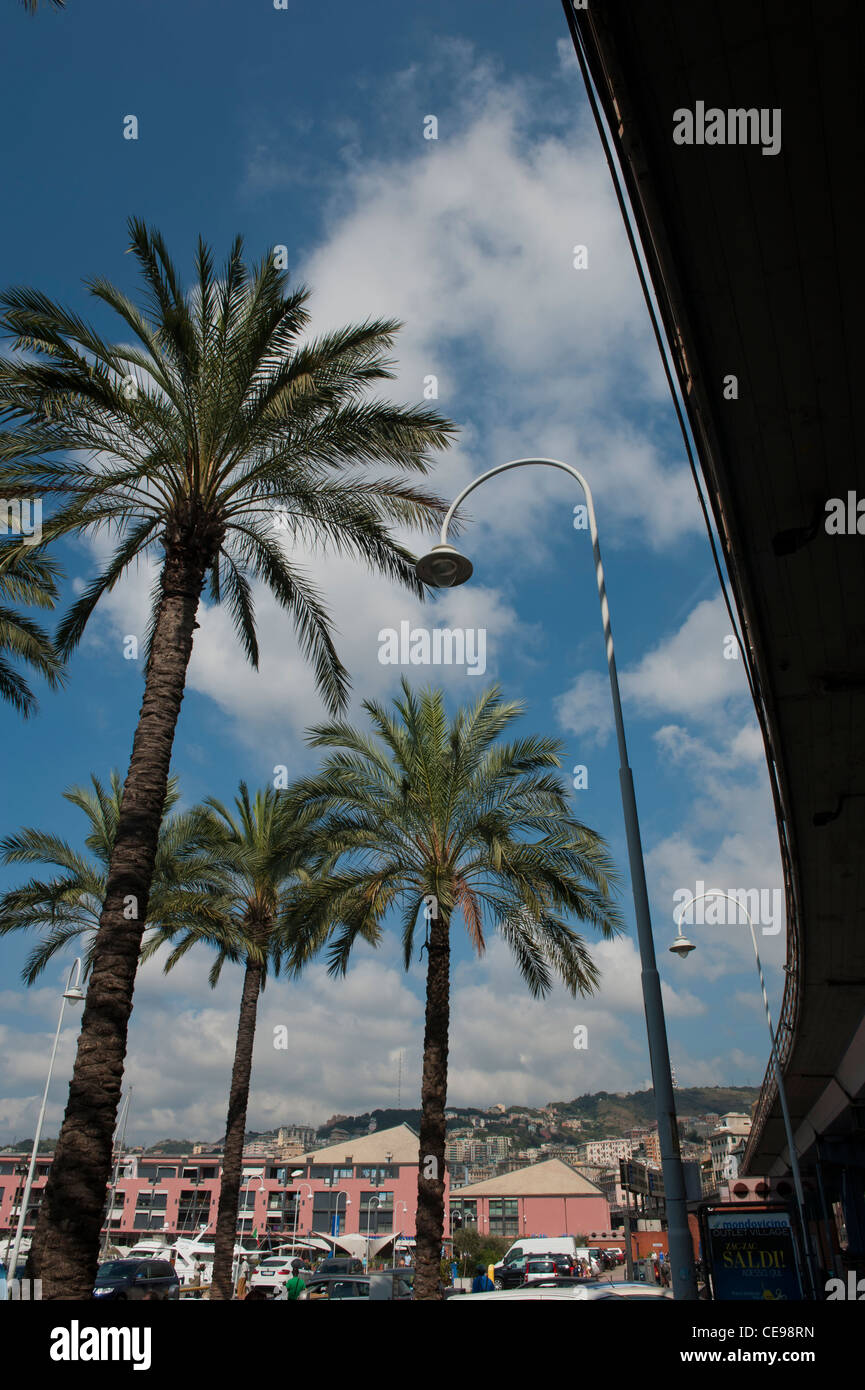 Elevated motorway flyover road. Genoa (Italian, Genova) Italy Stock ...