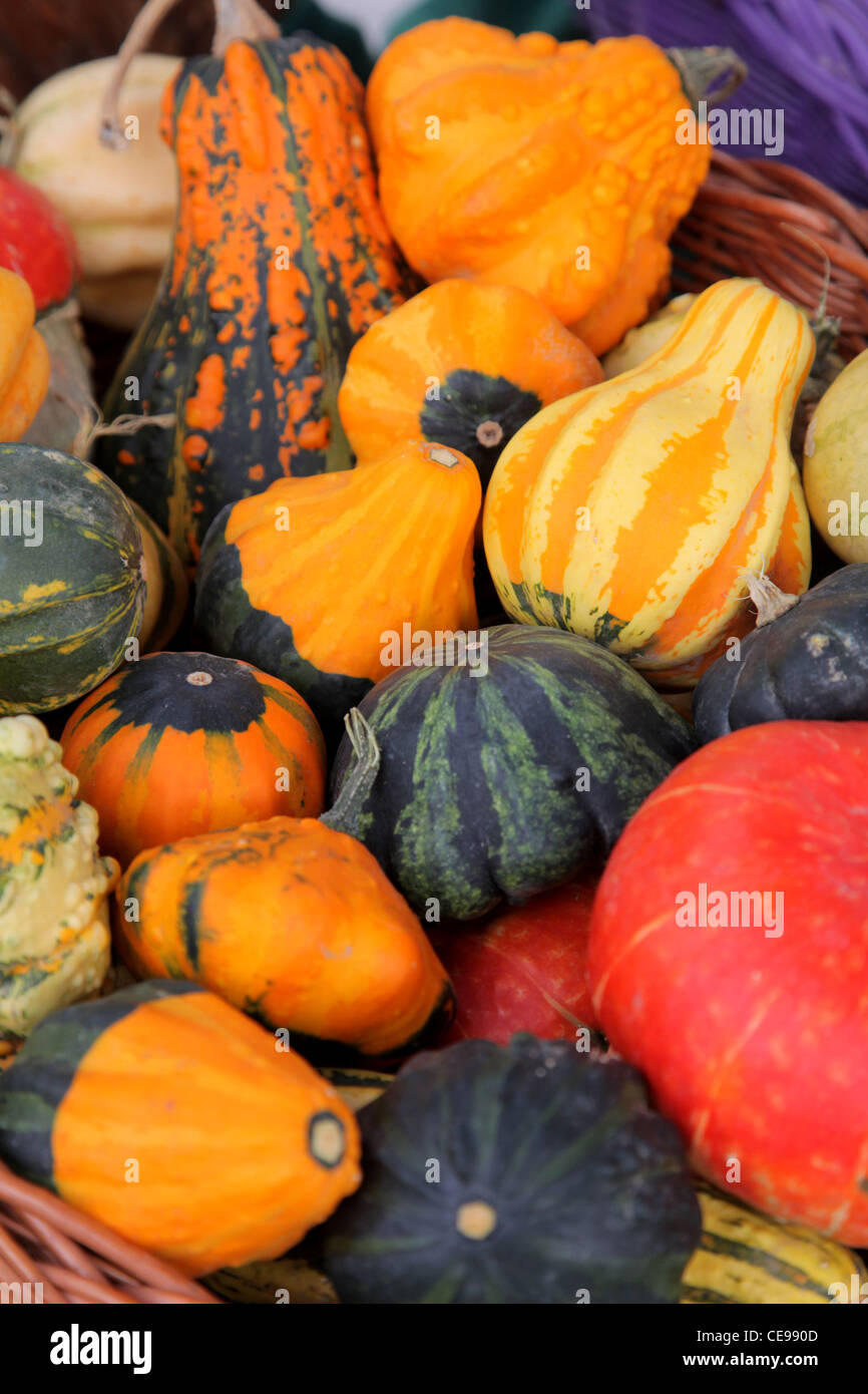 Pumpkins collection hi-res stock photography and images - Alamy