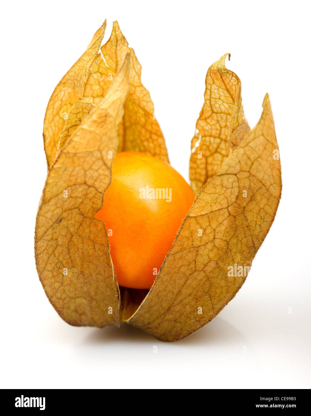 Physalis fruit on white background Stock Photo - Alamy
