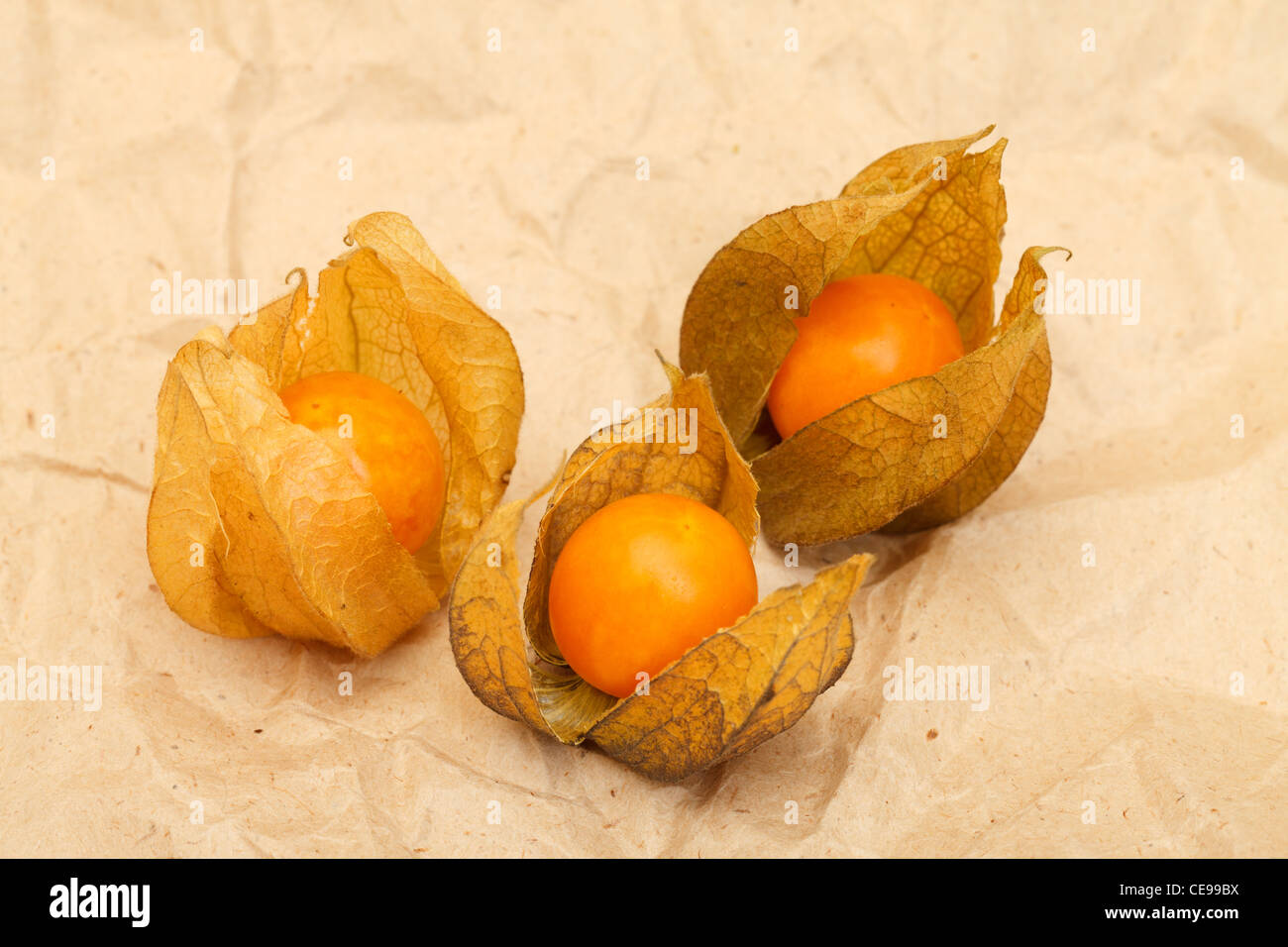 Physalis on brown hi-res stock photography and images - Alamy