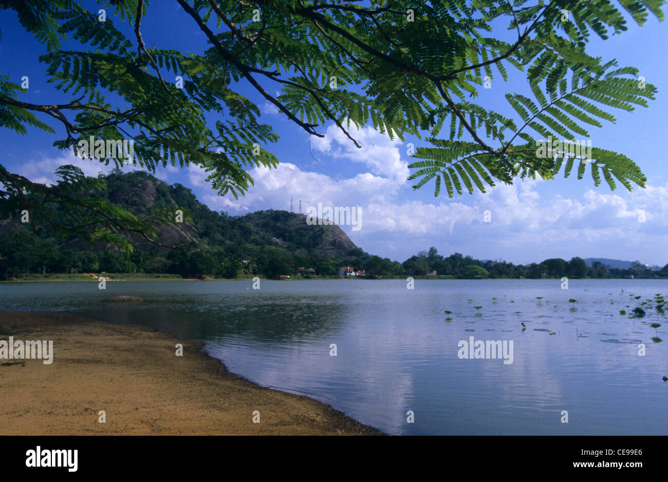 Kandy's lake, Sri Lanka Stock Photo - Alamy