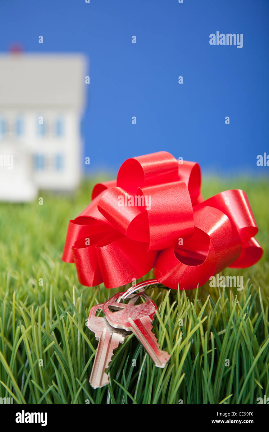 House keys with red ribbon on grass Stock Photo - Alamy