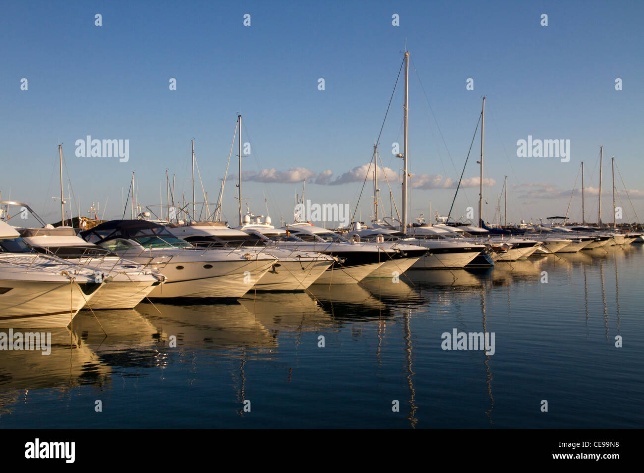 luxury yacht motor boats moored in Puerto Portals harbor Calvia ...