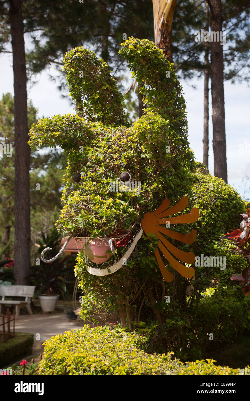 Topiary Dragon High Resolution Stock Photography and Images - Alamy