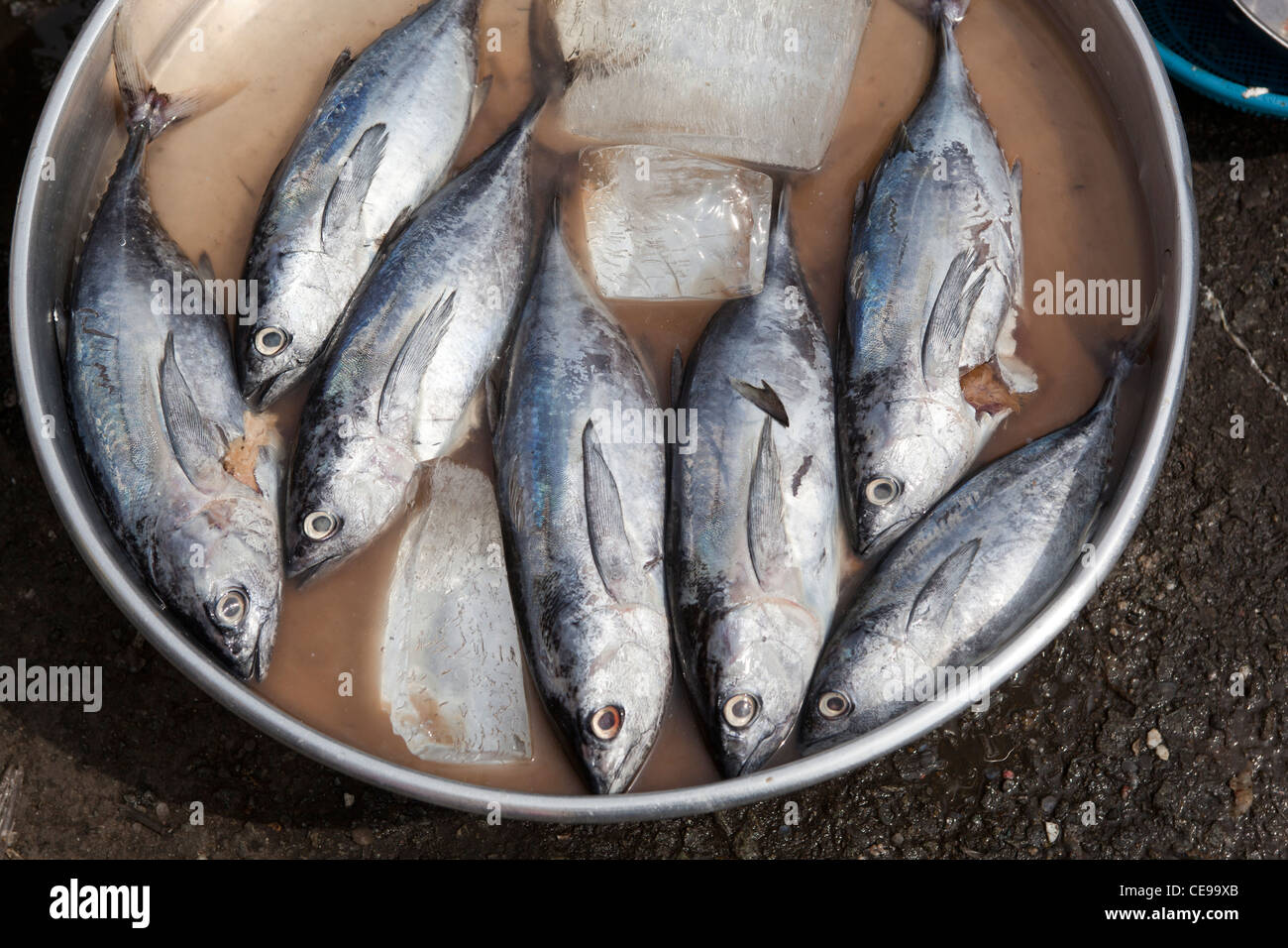 Fish on sale at Ben Thanh Market Ho Chi Minh City Stock Photo - Alamy