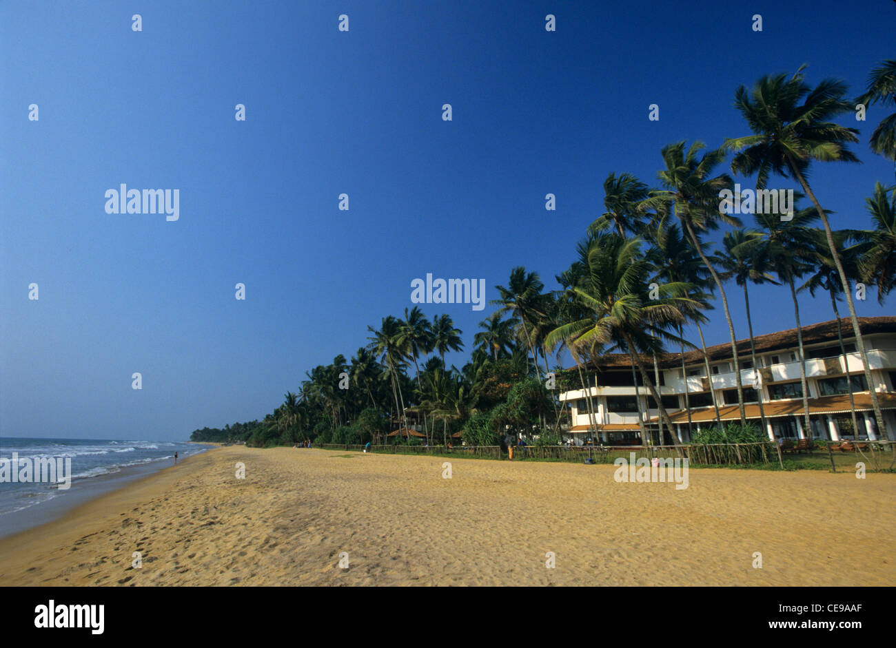 Hotel Tangerine, Kalutara beach, Sri Lanka Stock Photo - Alamy